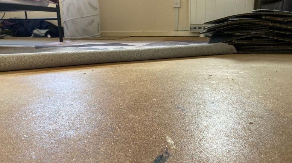 How carpet can make a house feel like 'a home' - BBC News