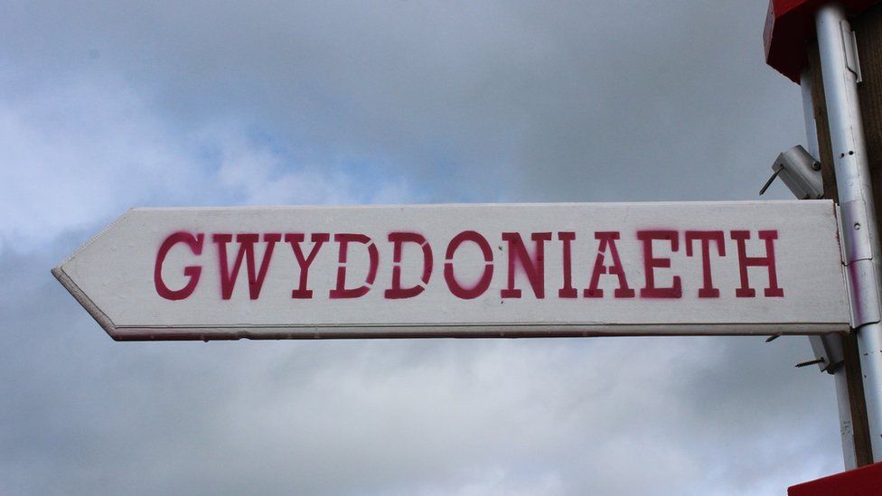 Taith wib o amgylch y Maes - BBC Cymru Fyw