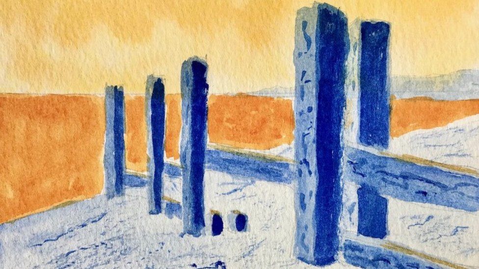 Multiple sclerosis: Painting is a 'distraction' from pain for Beds and ...