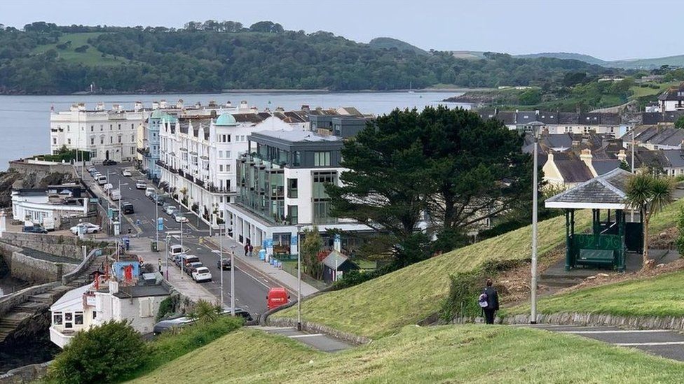 Plymouth Palm Trees Removed To Cut Public Sex And Drug Use Bbc News
