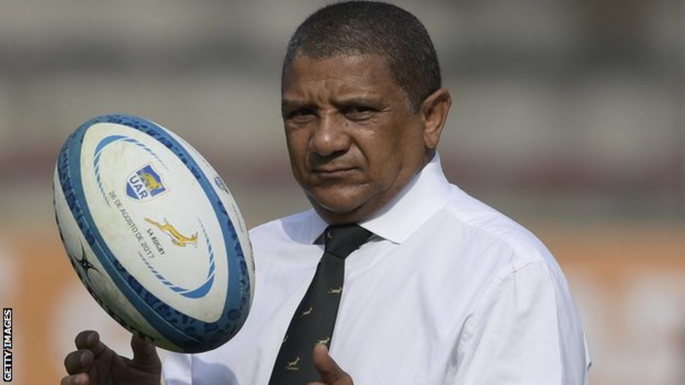 Allister Coetzee leaves post as Springboks coach - BBC Sport