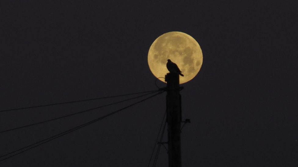 December's Cold Moon captured by West Midlands photographers - BBC News