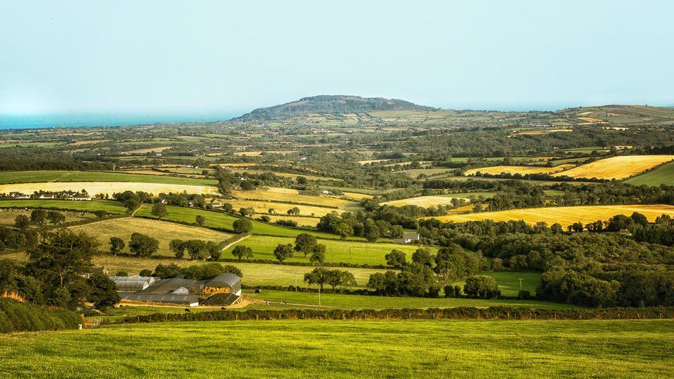 Galw am gryfhau deddfwriaeth amaeth newydd i 'achub natur' - BBC Cymru Fyw