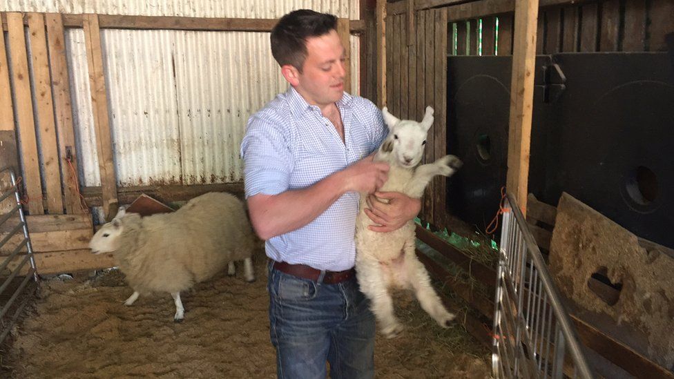 Farmers under 40 to get voice on future - BBC News