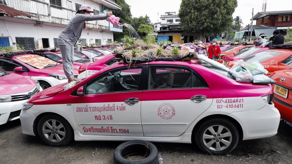 Thailand Covid: Idle taxis used to grow food for out-of-work drivers ...
