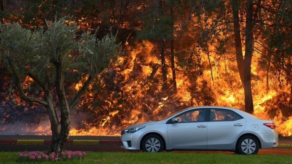 In pictures: Israel wildfires force evacuations in Haifa - BBC News