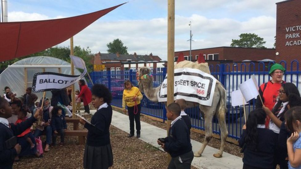 Camel visits Smethwick primary school spice project - BBC News