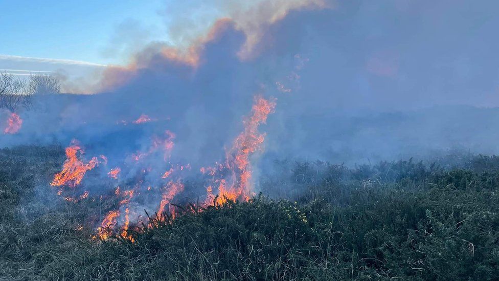 Firefighters tackle gorse fire in Cornwall - BBC News