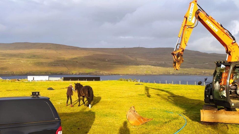 'Miracle' rescue of horse stuck in septic tank on Skye - BBC News