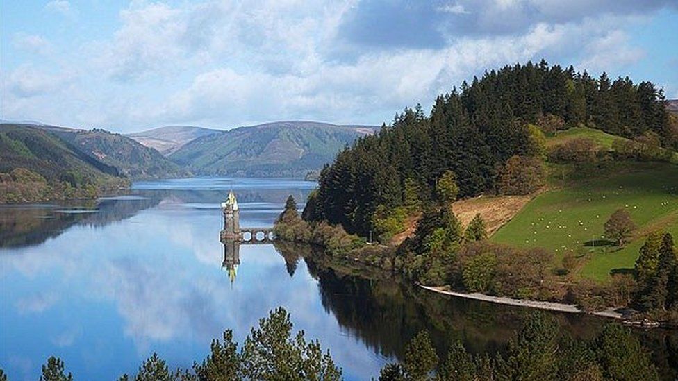 Lluniau'r llynnoedd - BBC Cymru Fyw