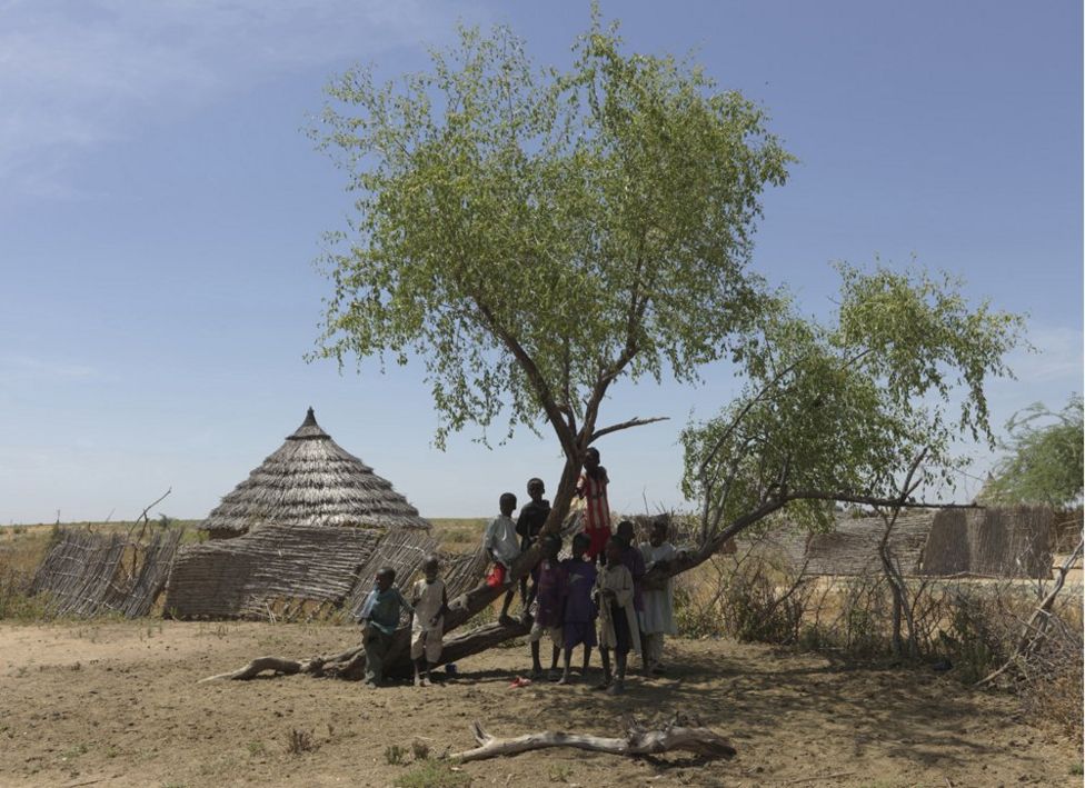 In pictures: A young girl's life in Chad - BBC News