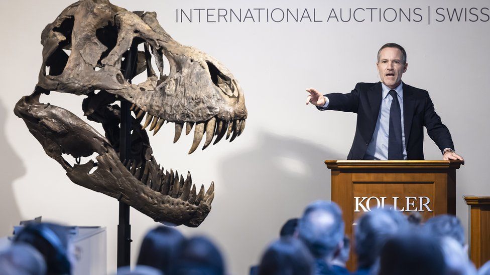 T. rex sells for more than $6m at auction in Switzerland - BBC Newsround