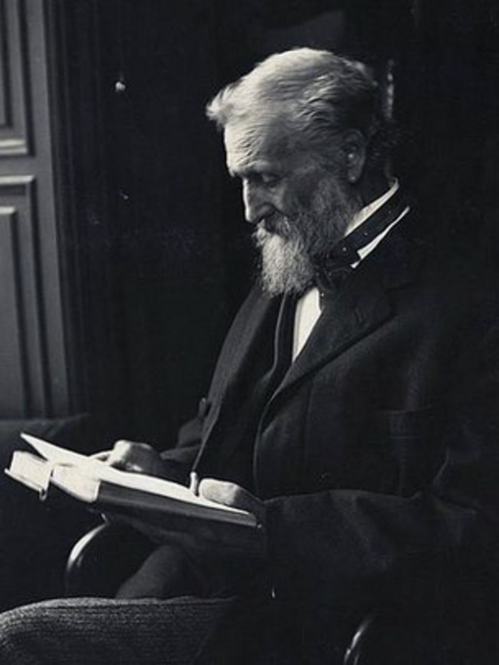 Dunbar John Muir bear sculpture to go ahead - BBC News