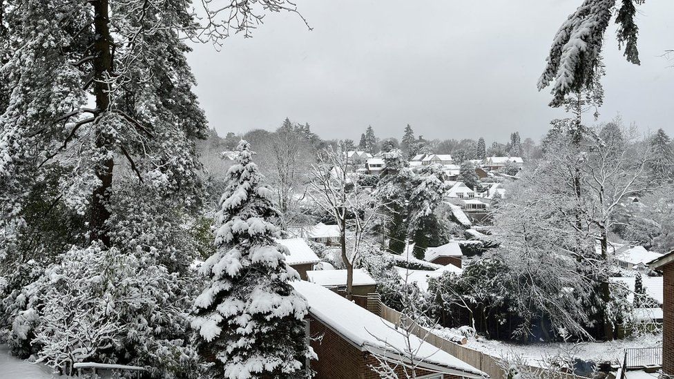 In pictures: Snow falls across the South East - BBC News