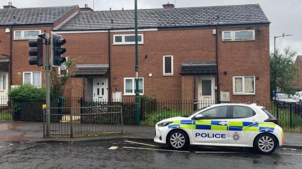 Radford: Review after 'shocking' deaths of mum and daughter - BBC News