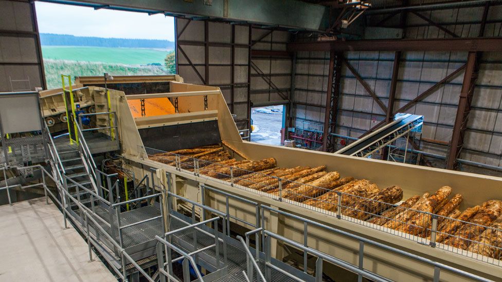 New £95m line at Norbord factory opened by Nicola Sturgeon - BBC News