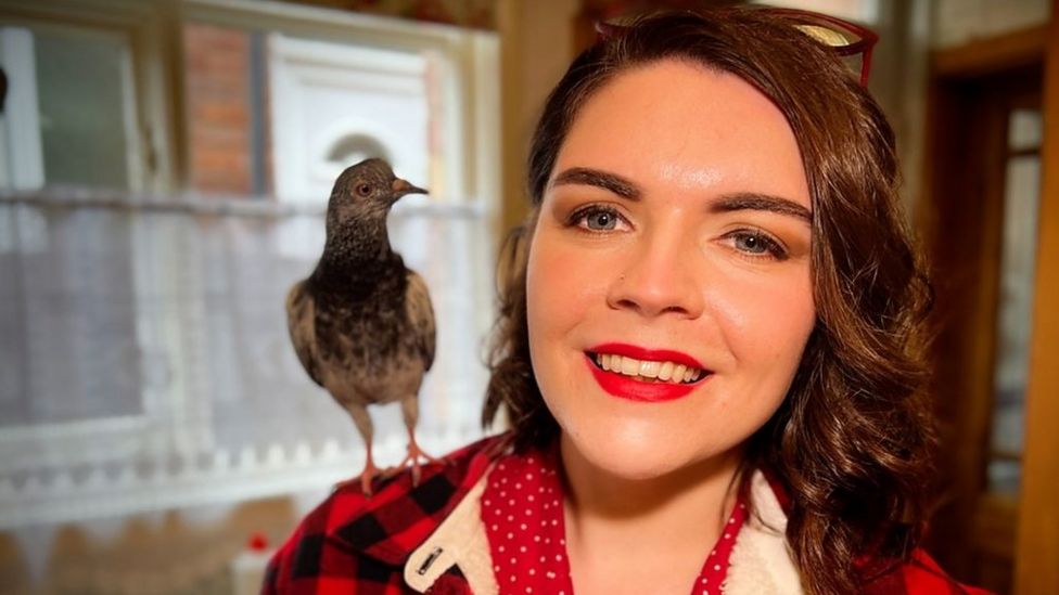 Grieving pigeon lover vows to help other birds - BBC News