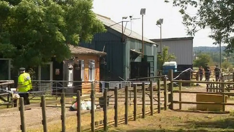 Woman killed near Pitsea horse sanctuary: Man on murder charge - BBC News