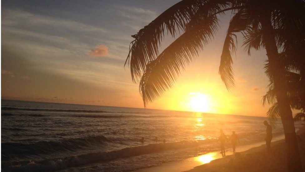 Coronavirus: What would working from home in Barbados really be like ...