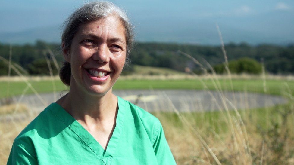 Climate change: NHS staff fighting to make hospitals greener - BBC News