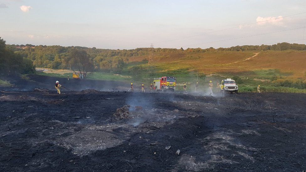 Fire sweeps across Talbot Heath nature reserve - BBC News