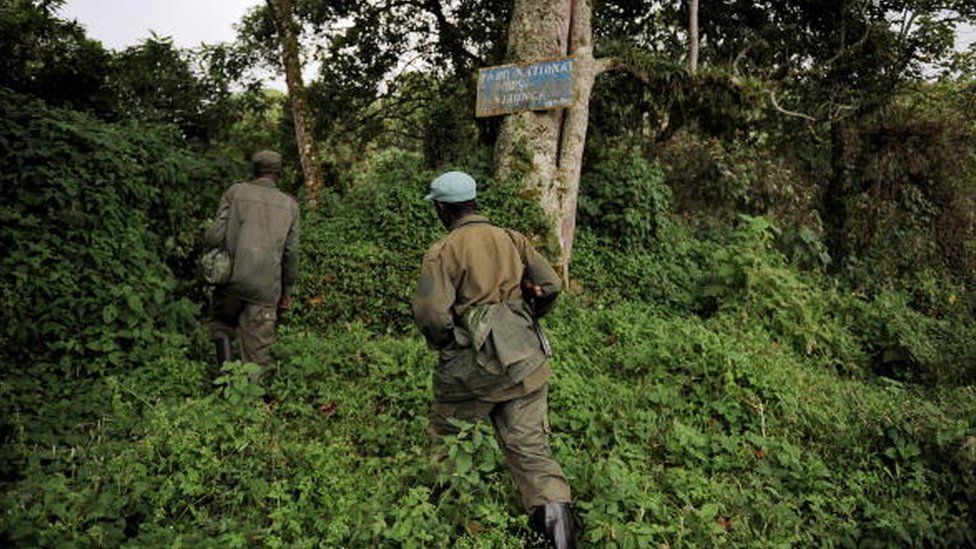 Virunga National Park: DR Congo rangers killed - BBC News