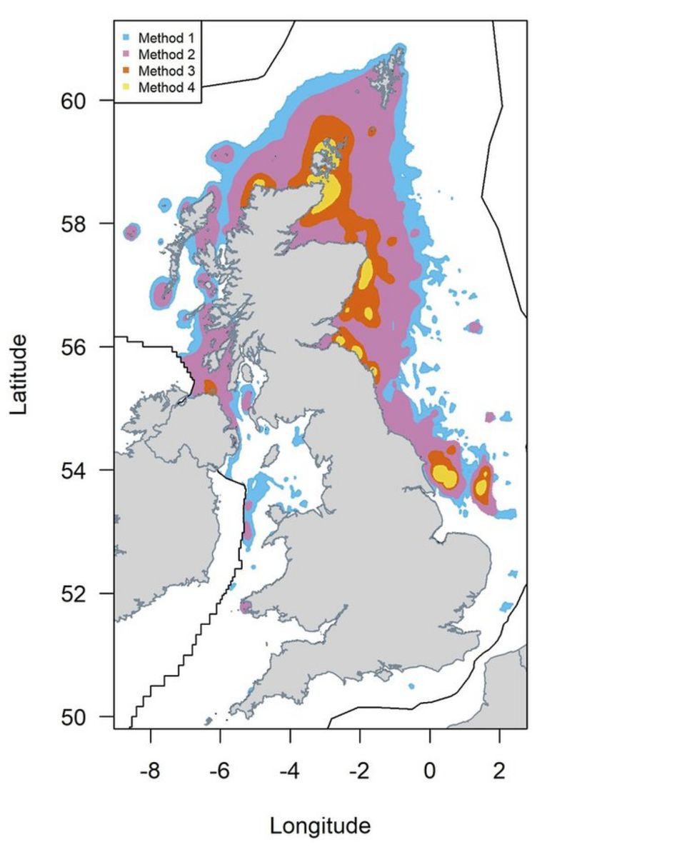 New maps reveal Scotland's seabird breeding hotspots - BBC News