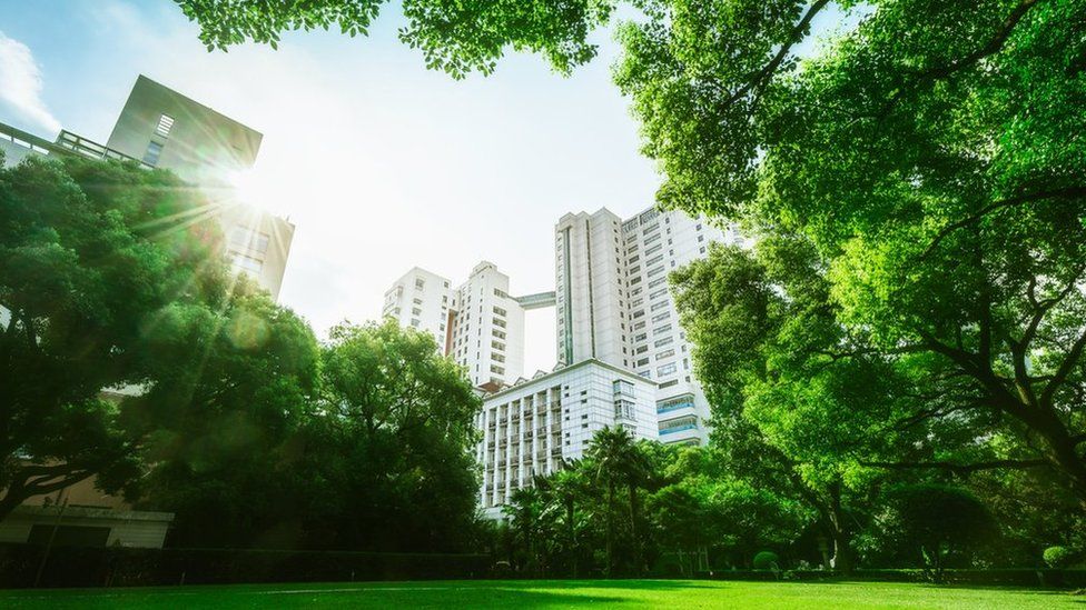 Climate change: Bringing nature into cities can boost health - BBC ...