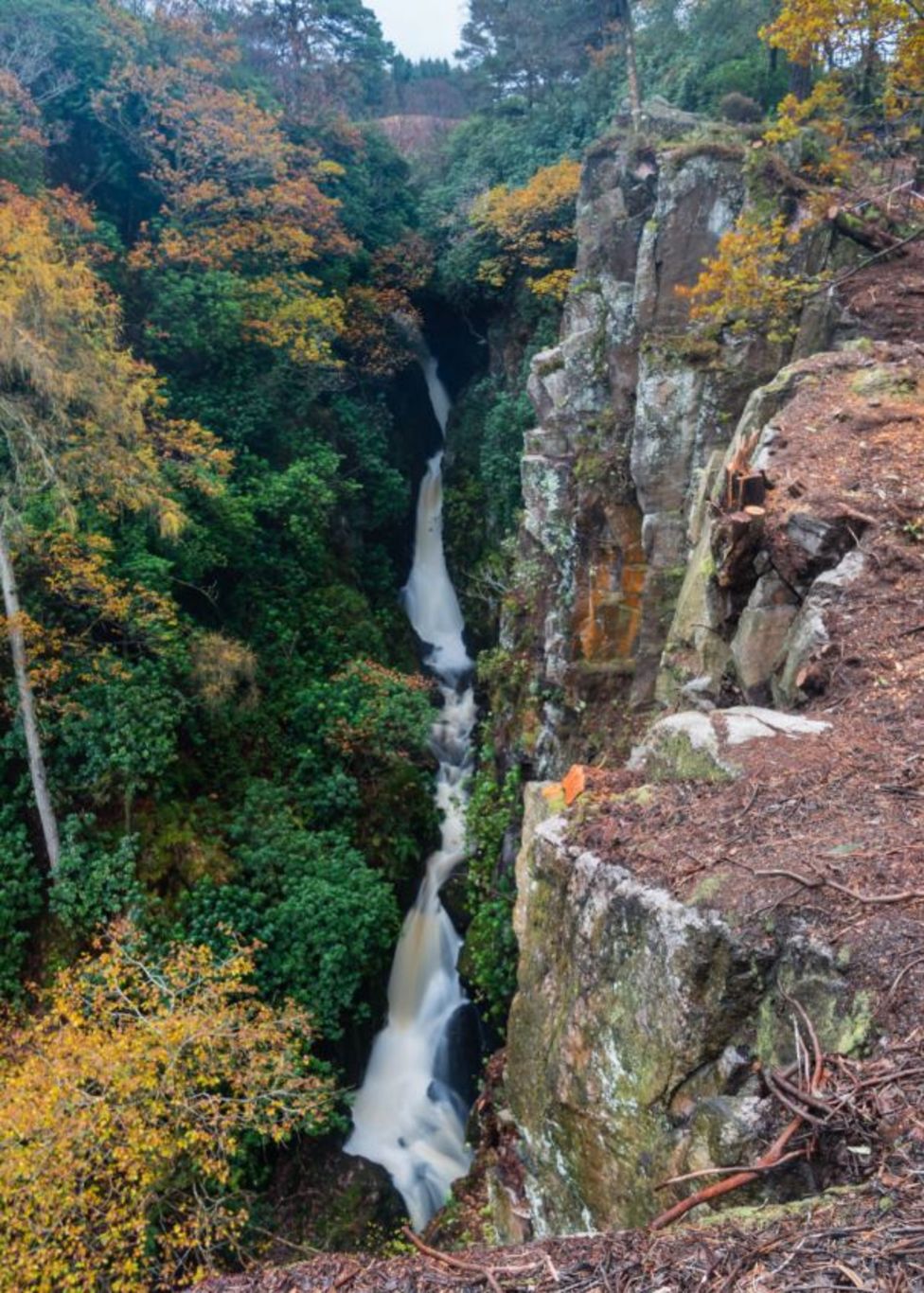 Lake District's 'forgotten view' of waterfall restored - BBC News