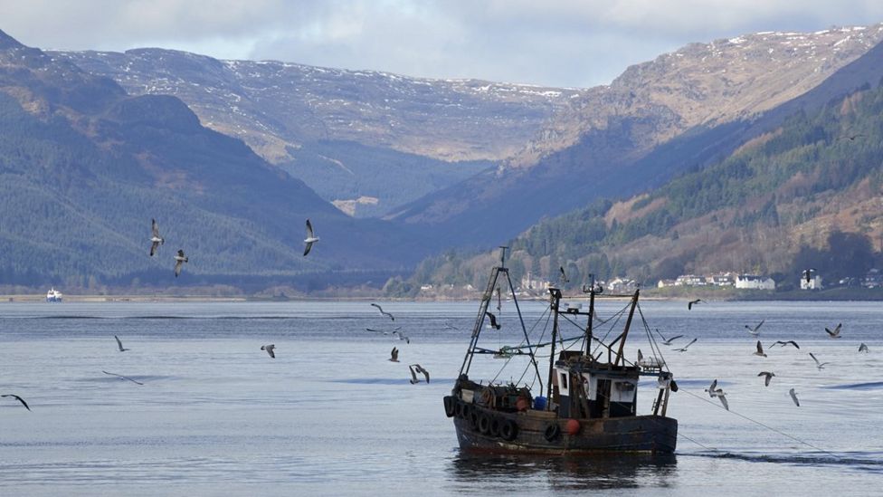 Your pictures of Scotland: 24 February - 3 March - BBC News