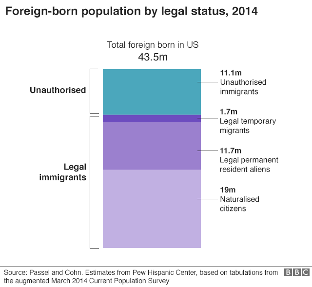Six charts on the immigrants who call the US home - BBC News