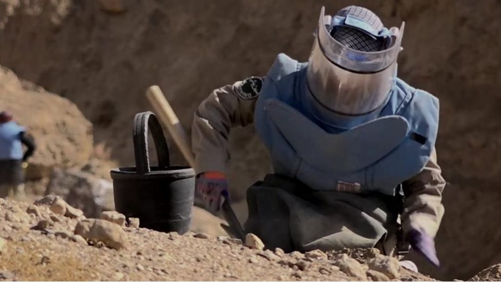 Magawa, the landmine-sniffing hero rat, dies aged eight - BBC News