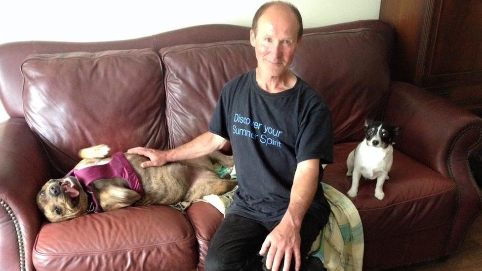 'Britain's loneliest dog' Freya finds new home - BBC News