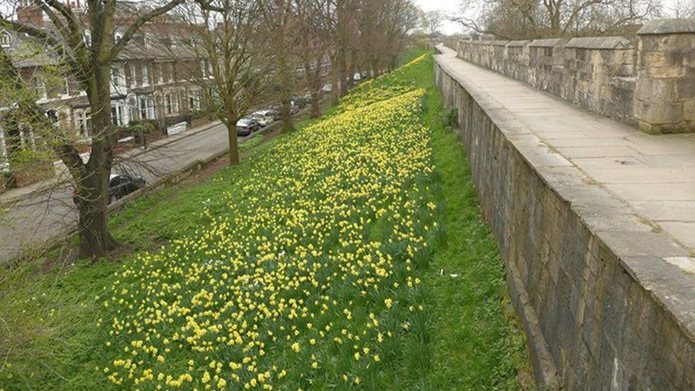 York's walls will have 'one-way' system when they reopen - BBC News