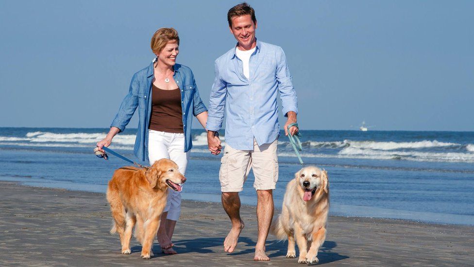 Pennsylvania wife ambushes husband's lover and kills herself - BBC News