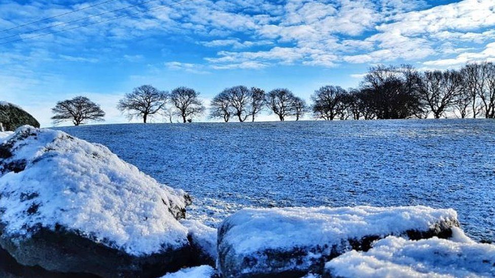 Lluniau: Golygfeydd gaeafol fis Ionawr - BBC Cymru Fyw