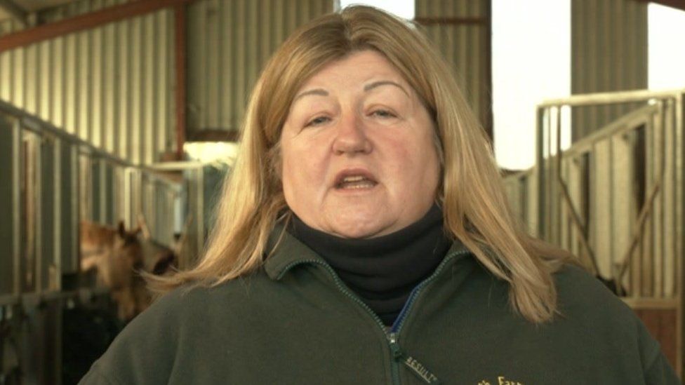 Wantage stud farm owner refusing to pay £16k bill to Castle Water - BBC ...