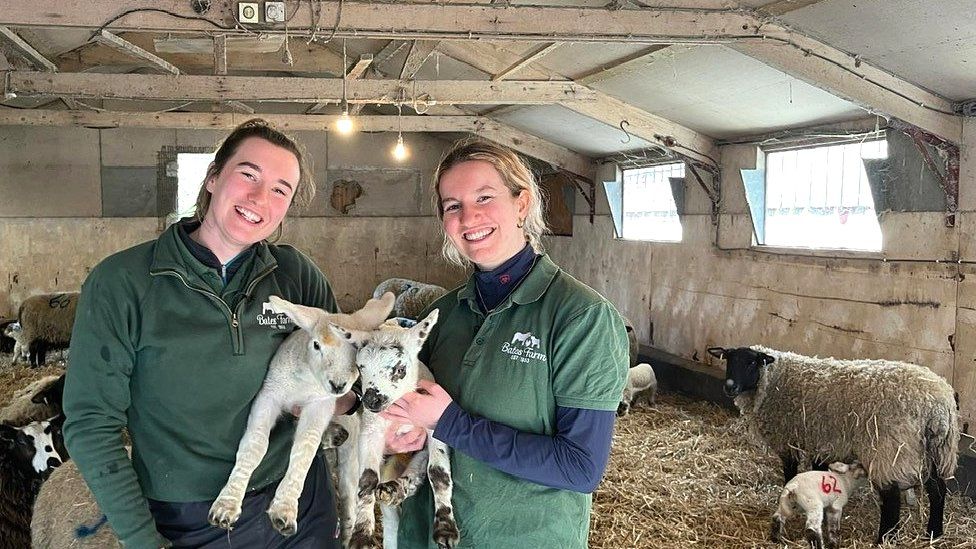 The Warrington sisters on taking on family farm after dad's death - BBC ...