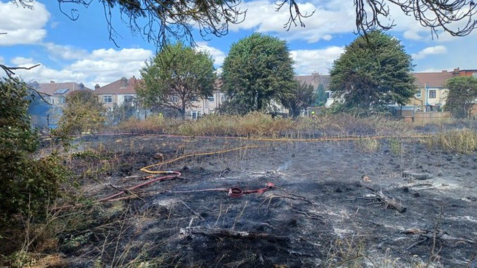 London heatwave: More than 800 grass fires in six weeks - BBC News
