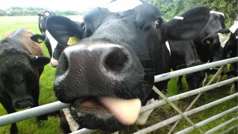 Oxfordshire's Big Picture - BBC News