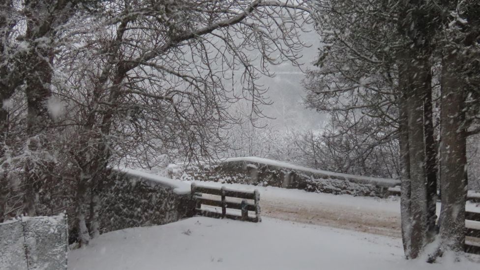 In pictures: Snowy Highland scenes - BBC News