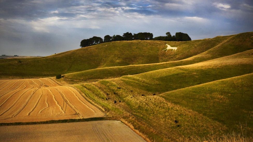 Volunteers help re-chalk iconic Wiltshire Cherhill white horse - BBC News