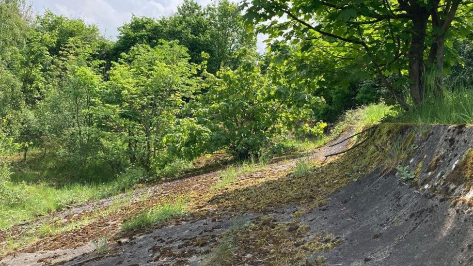 Disused Bingley reservoir could become outdoor swimming pool - BBC News