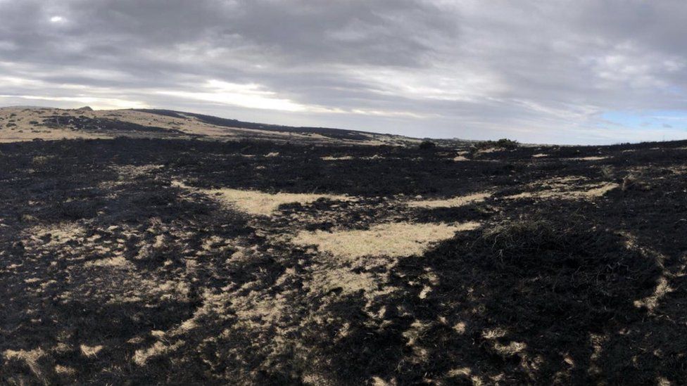 Bodmin Moor gorse fire being treated as arson - BBC News