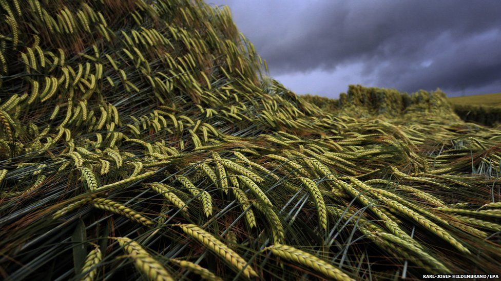 Weather from around the world - BBC Weather