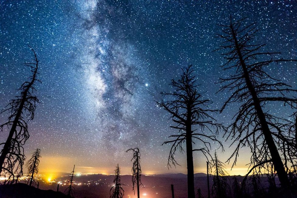 Your pictures of the year 2021 - BBC News