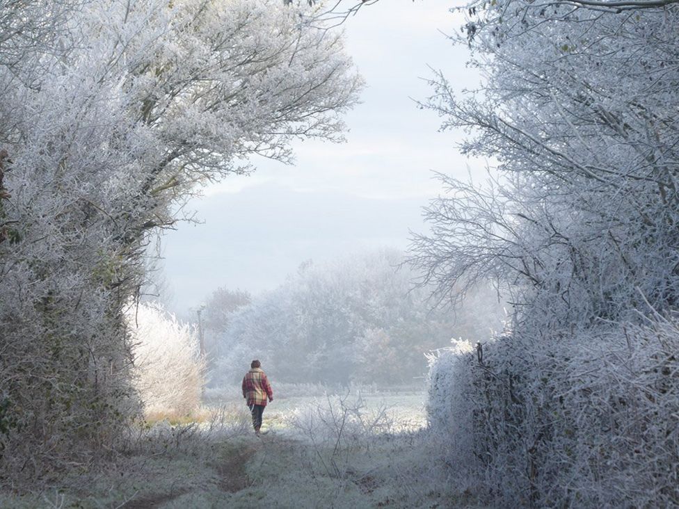 Your pictures on the theme of 'winter walks' - BBC News