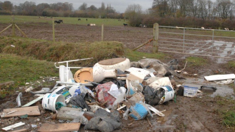 Dumped horses prompt call for stricter enforcement - BBC News