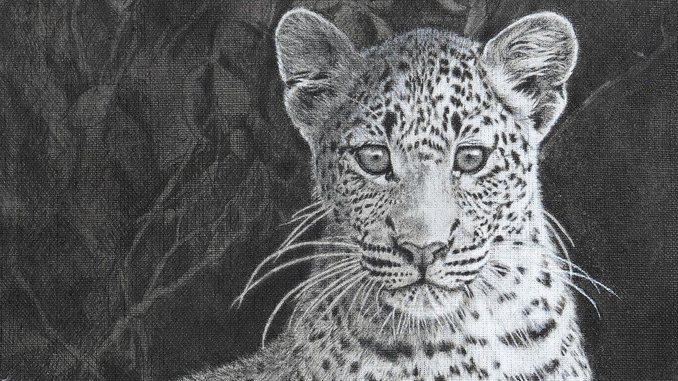 Biro artist Cy Baker's work aids conservation efforts - BBC News