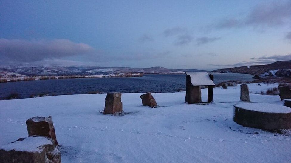 Lluniau: Golygfeydd gaeafol fis Ionawr - BBC Cymru Fyw